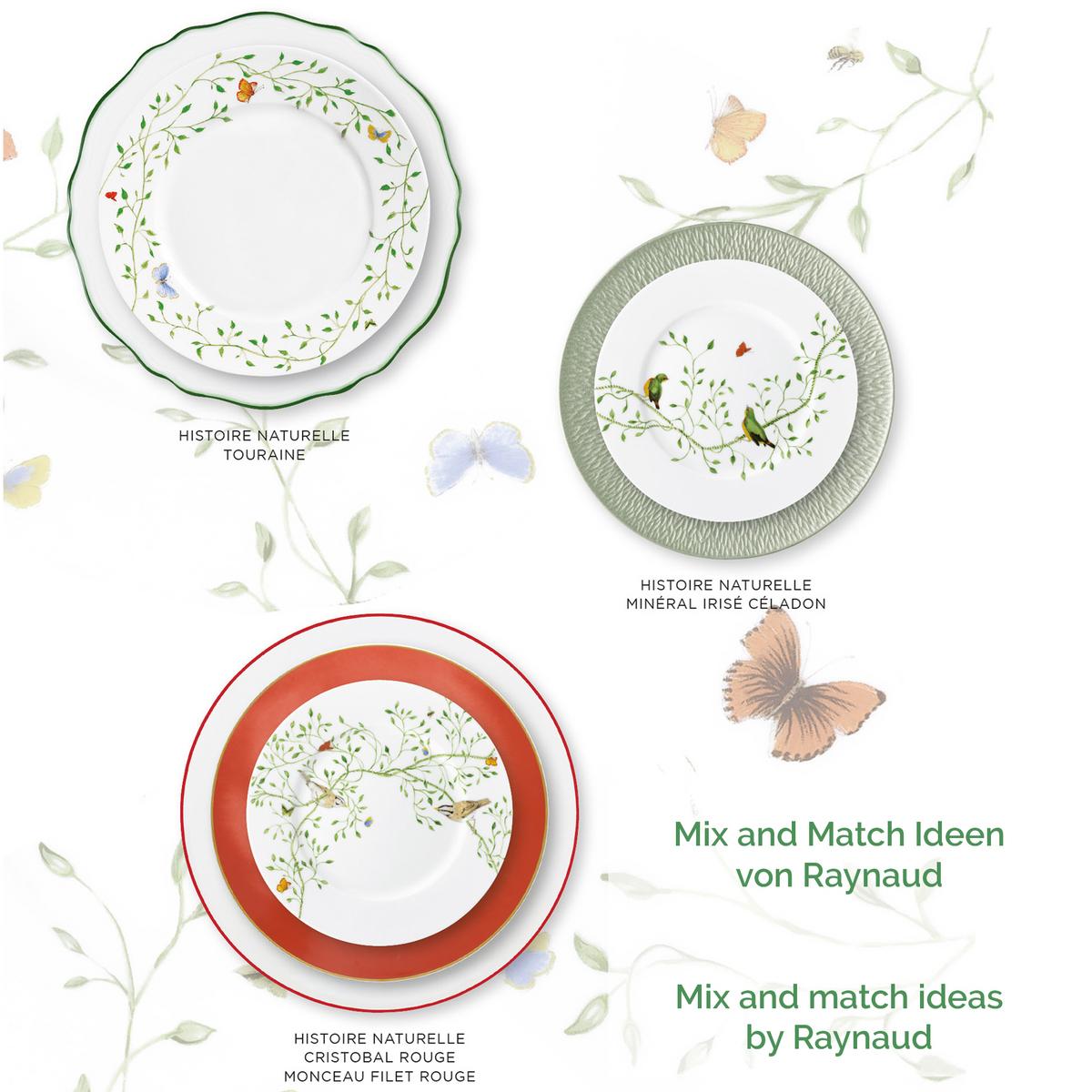 Raynaud Histoire Naturelle Dinnerware | Artedona.com