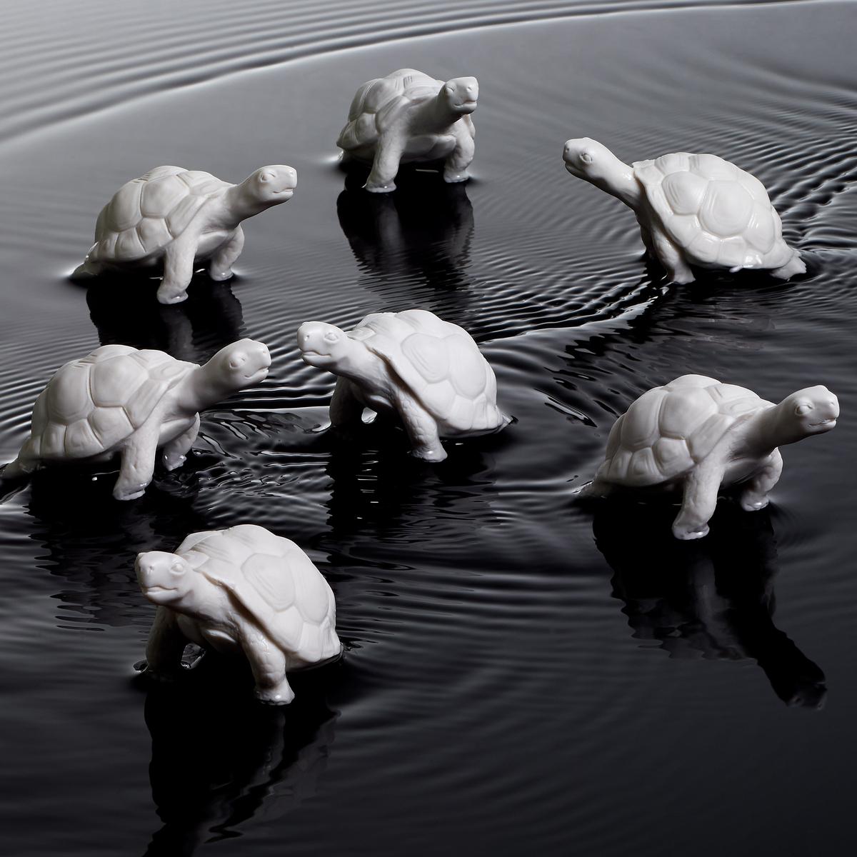 Nymphenburg Mona turtle | artedona.